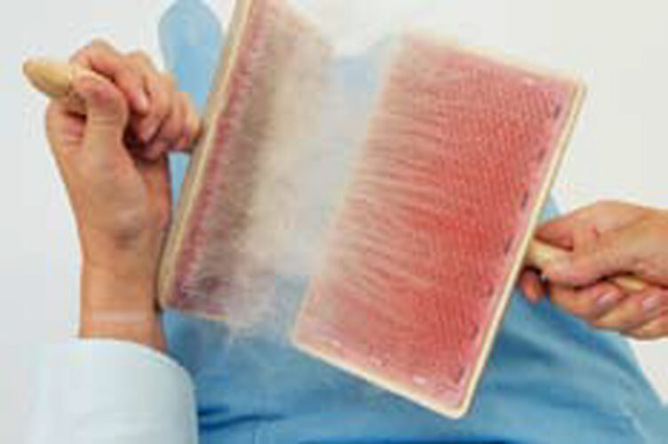 Six Steps to Hand Carding Wool – Mother Earth News